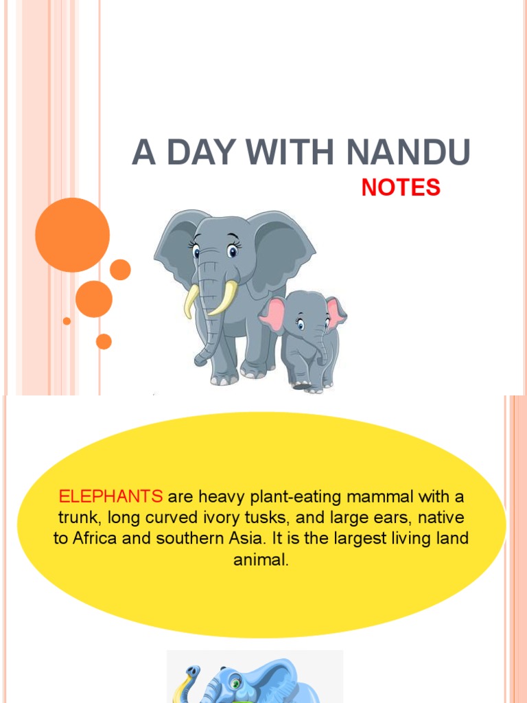 A Day With Nandu Notes | PDF