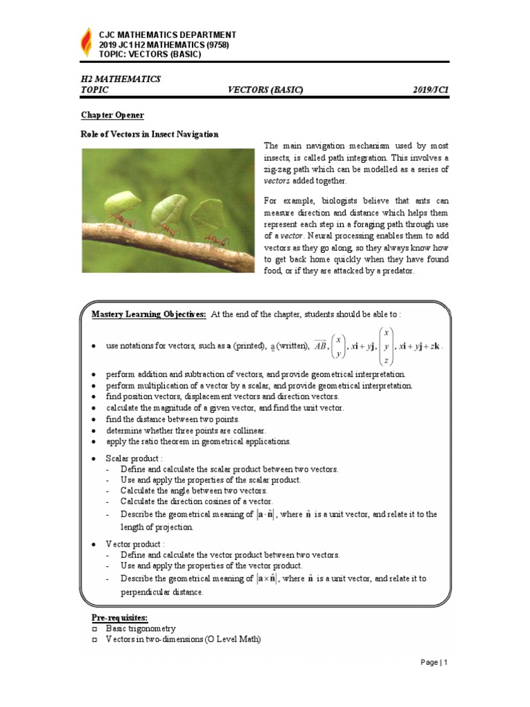 M1 2019 Vector Basic Notes For SLS | PDF | Euclidean Vector | Force