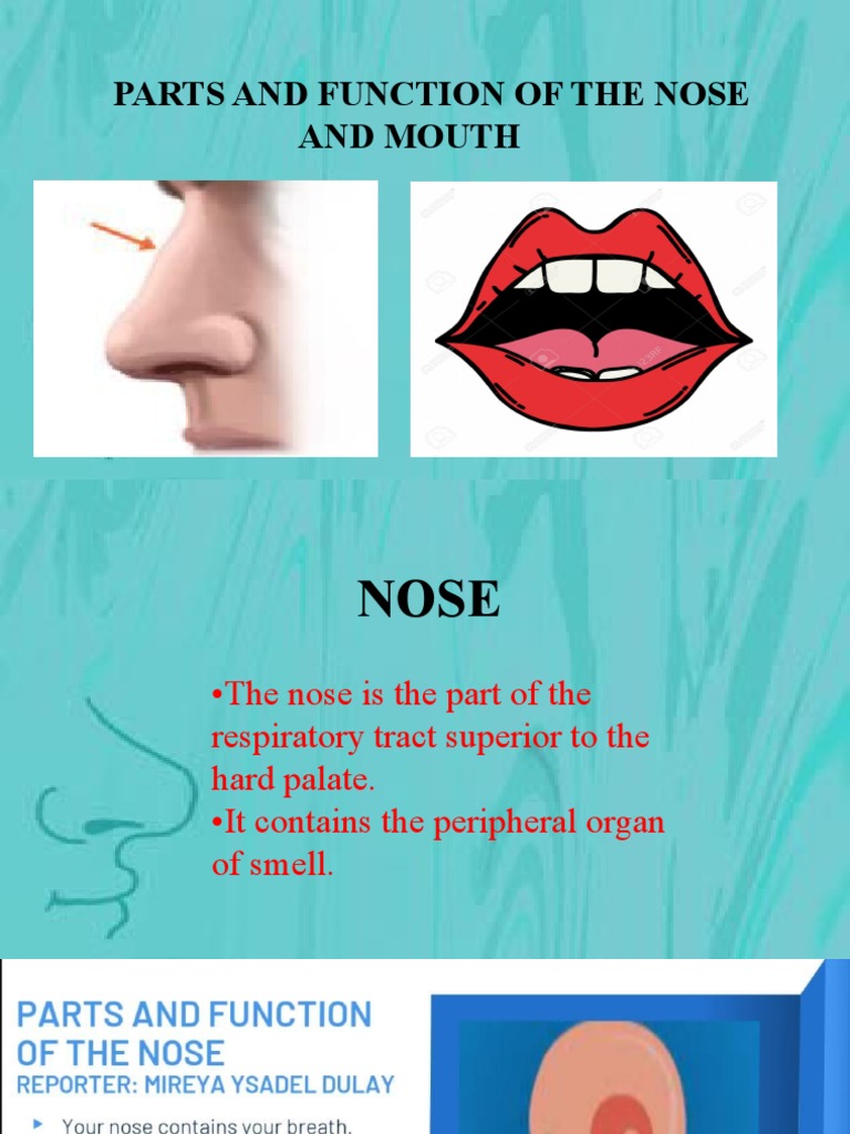 Science Report | PDF | Human Nose | Facial Features