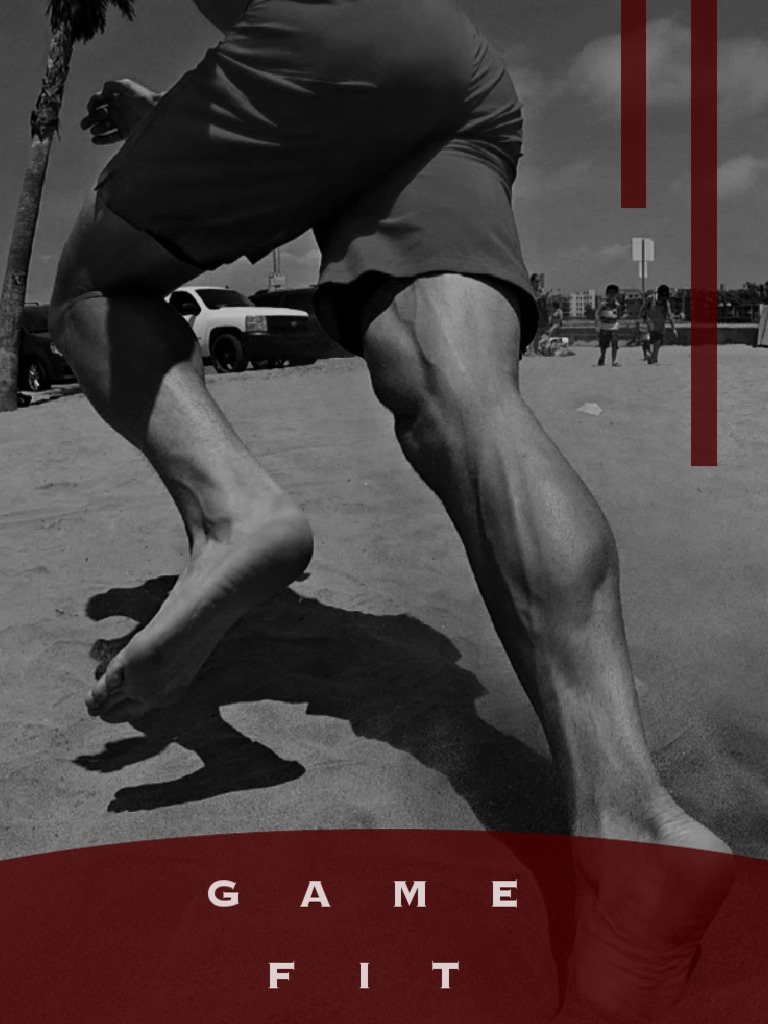 Game Fit | Download Free PDF | High Intensity Interval Training ...