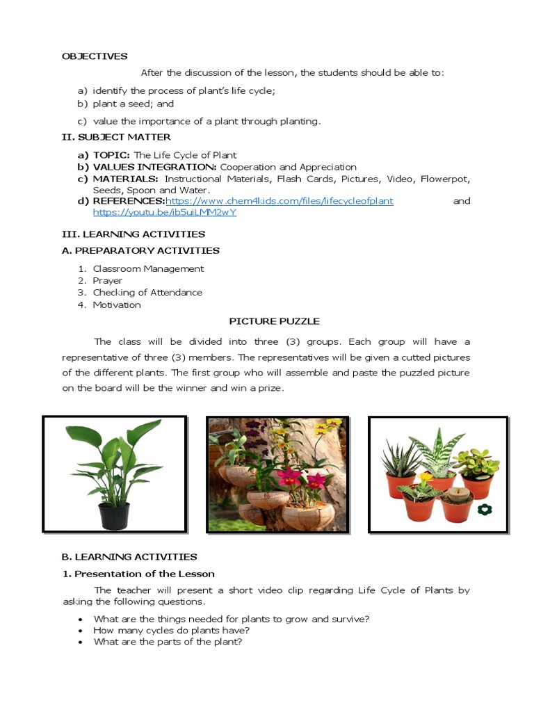 Lesson Plan Life Cycle of Plants | PDF | Germination | Seed