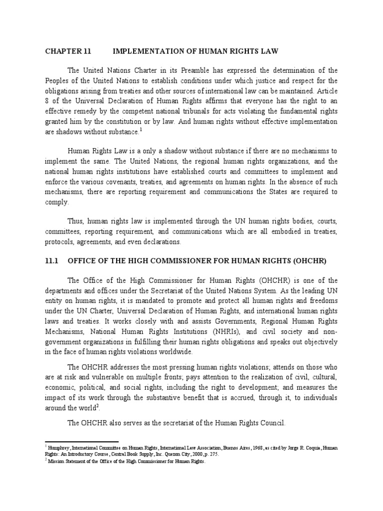 HRL CH11 Implementation | PDF | Human Rights | International Criminal Court