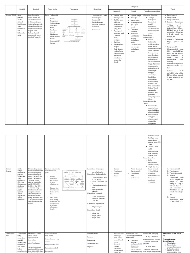 Diagnosis dan Penanganan Demam Tifoid | PDF