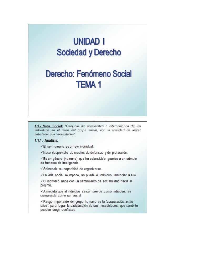 Temas 1, 2 y 3 Desarrollados Sociologia Juridica | PDF