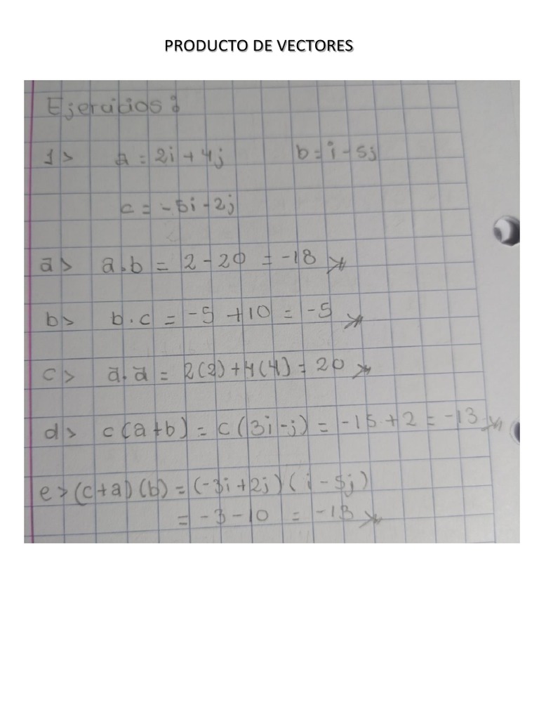 Crisostomo Lopez Miryan Enedina - Producto de Vectores | PDF