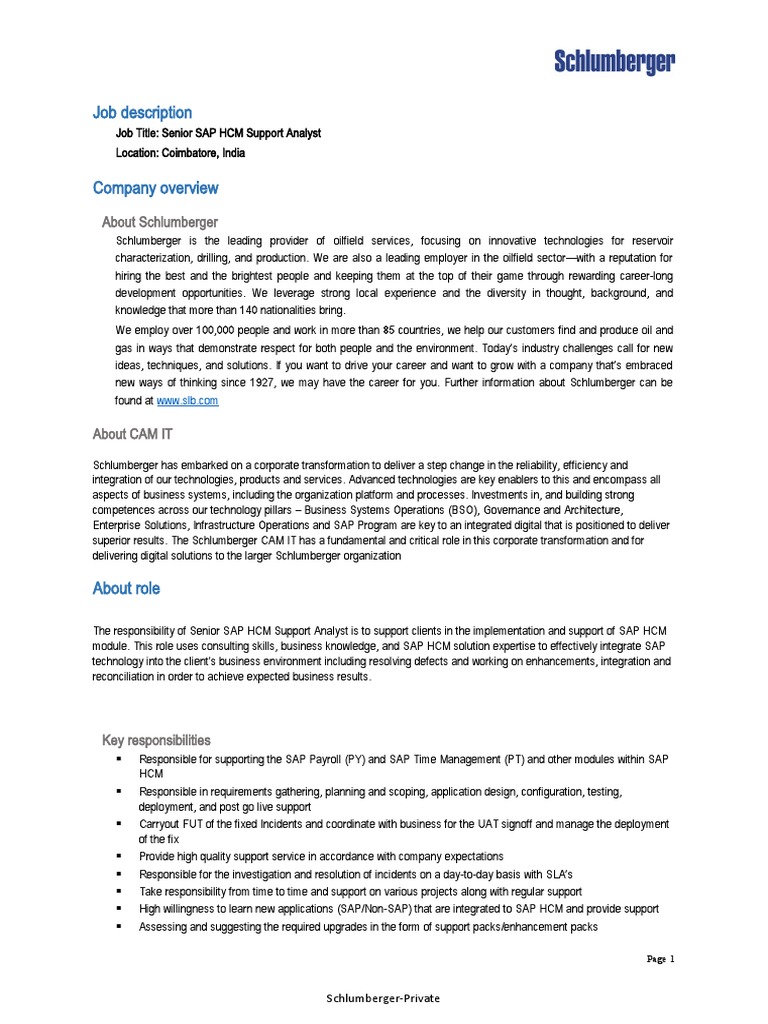 SAP HCM Support Analyst | PDF | Human Resource Management | Employment