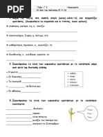 το ρημα ειμαι ασκησεις | PDF