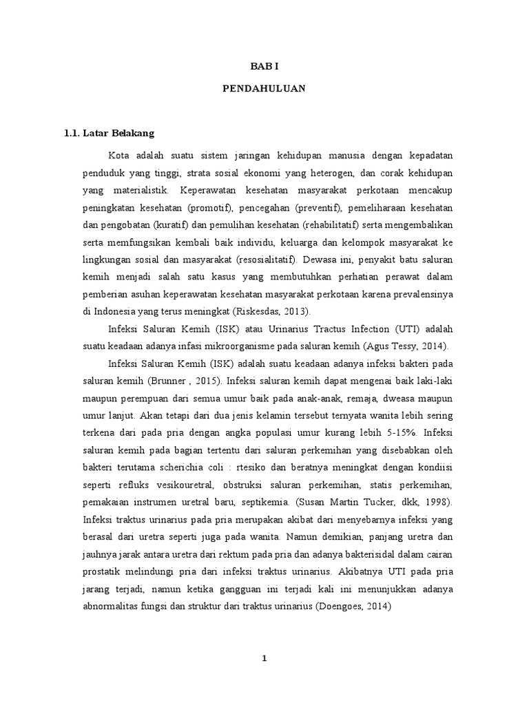 Asuhan Keperawatan Infeksi Saluran Kemih | PDF