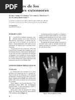 Protocolo Kleinert | PDF | Tendón | Mano