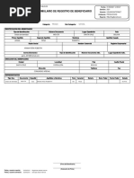 Formulario Ley 300 | PDF | Gobierno y personalidad | Gobierno