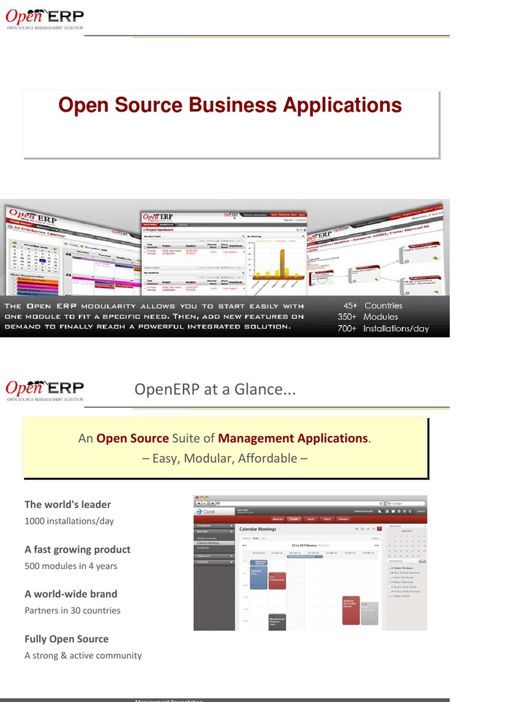 OpenERP at A Glance V1.1 | Download Free PDF | Marketing | Business