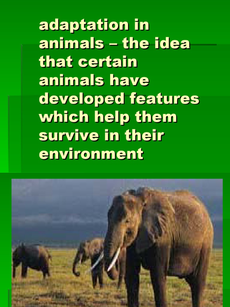 Adaptation in Animals - The Idea That Certain Animals Have Developed ...