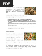Omnívoros | PDF | Herbívoro | Alimentos