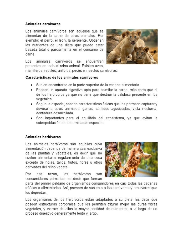 Animales Carnívoros | PDF | Organismos | Biología