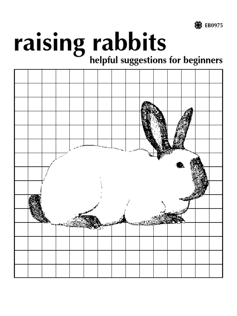 Raising Rabbits.pdf | Fur | Selective Breeding