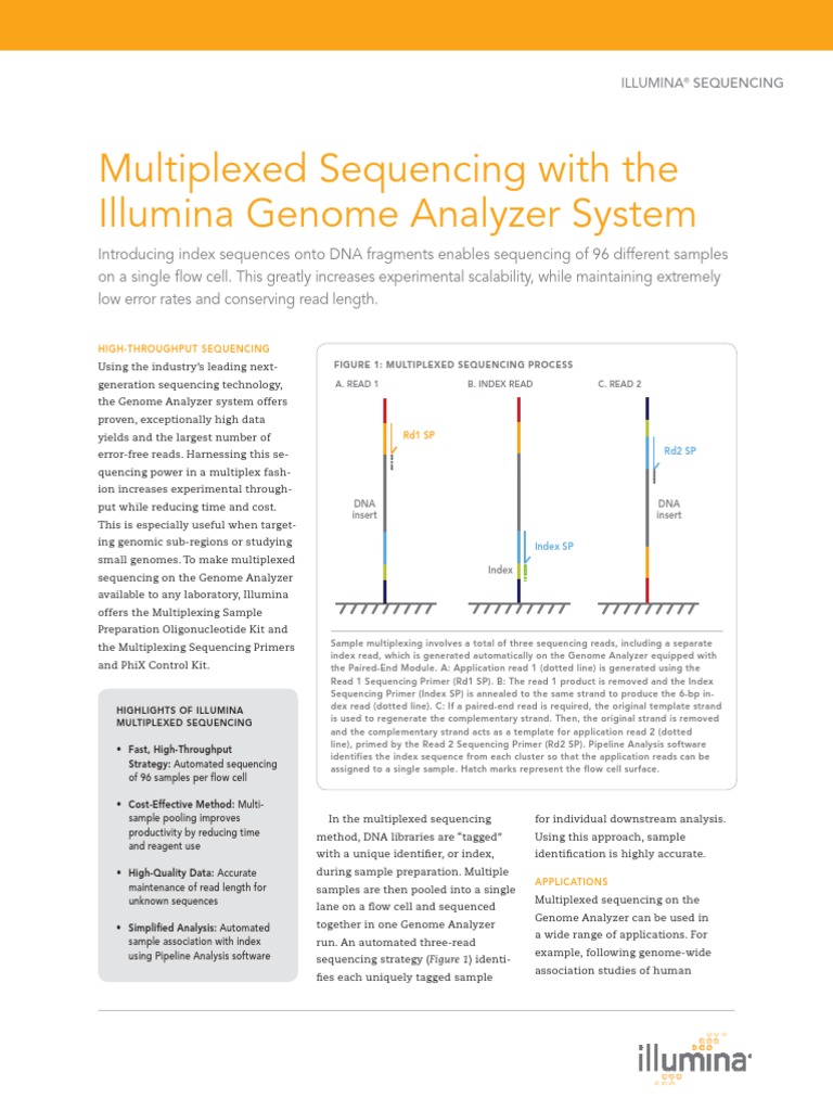 Datasheet Sequencing Multiplex | PDF | Dna Sequencing | Primer ...