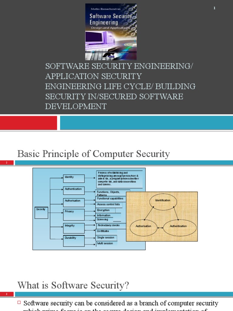 Software Security Engineering | PDF | Security | Computer Security
