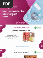 Incisión Rocky Davis | PDF | Medicina CLINICA | Anatomía