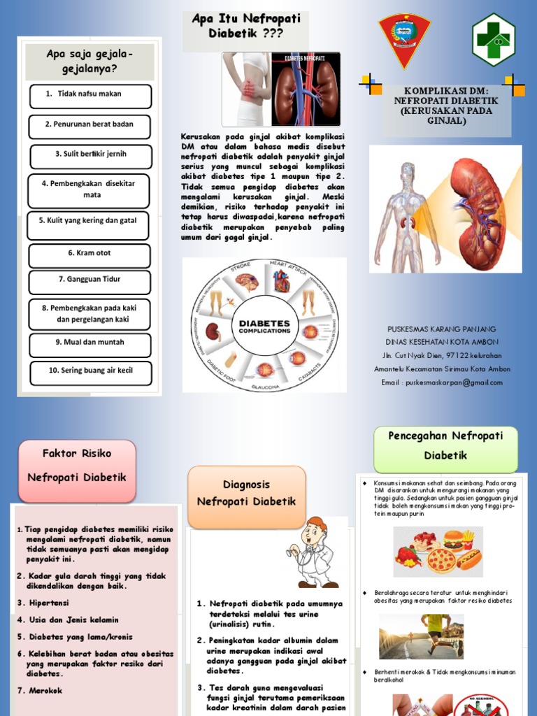 Gejala dan Pencegahan Nefropati Diabetik | PDF