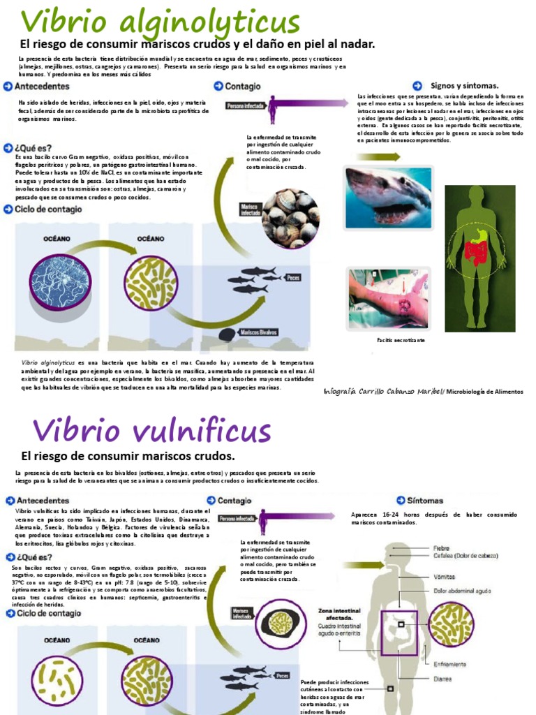 Infografía Microbiología de Alimentos | PDF | Medicina CLINICA ...