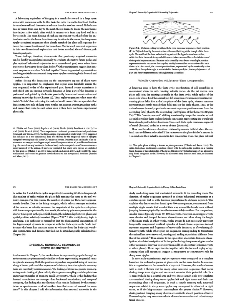 214 The Brain From Inside Out 175: Chapter 7. Internally Organized Cell ...