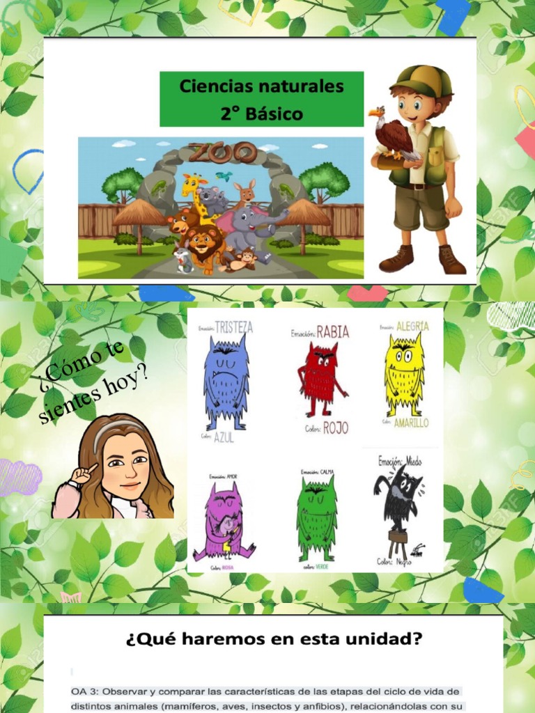 CIENCIAS Naturales Animales Vertebrados e Invertebrados | PDF | Ciencia ...