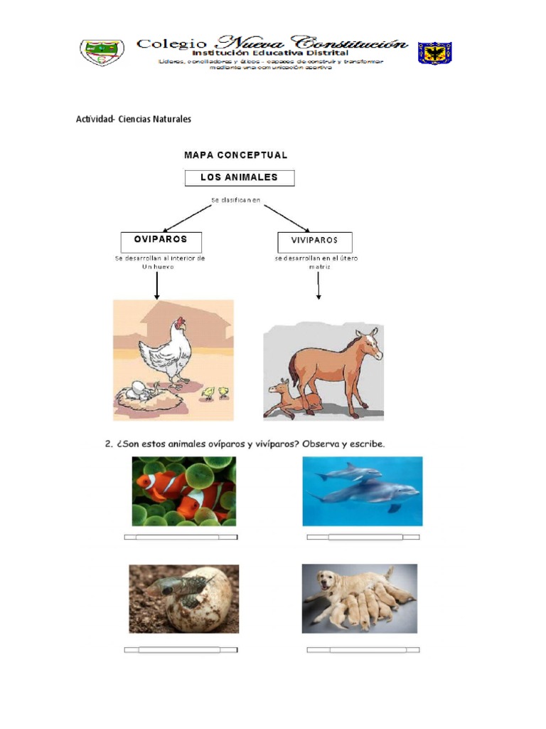 Actividad - Ciencias Naturales. Oviparos-Viviparos | PDF