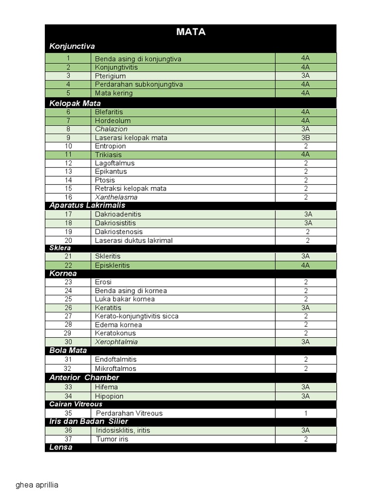 Panduan SKDI Mata 2024 | PDF