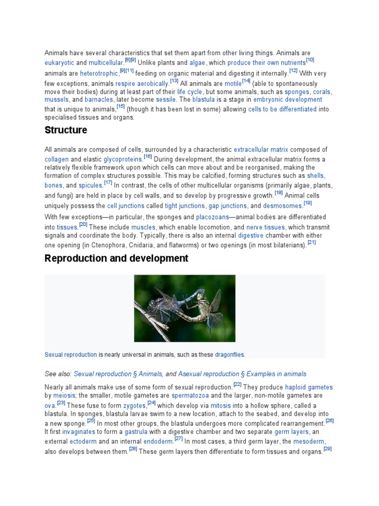 Structure: Sexual Reproduction Animals Asexual Reproduction Examples in ...