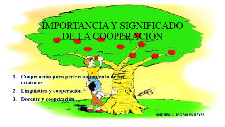Importancia y Significado de La Cooperación | PDF