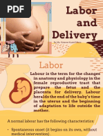 Stages of Labor and Delivery Explained | PDF | Childbirth | Uterus