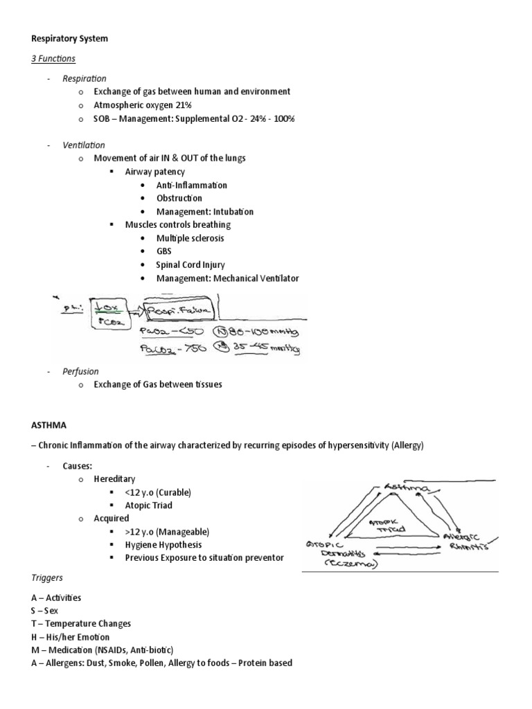 3 Functions - Respiration: Respiratory System | PDF | Respiratory Tract ...