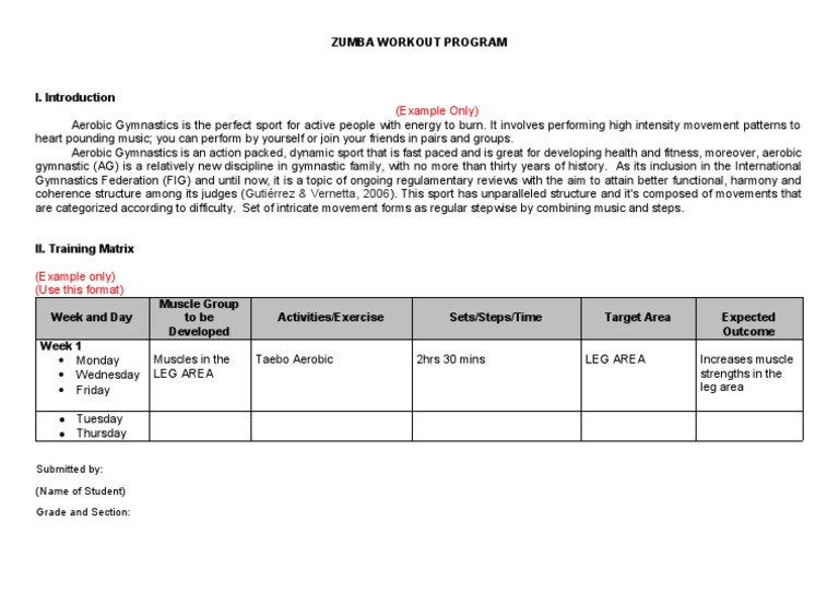 Sample Format Zumba Workout Program | PDF