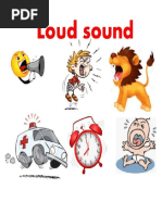 5 Rough Objects | PDF