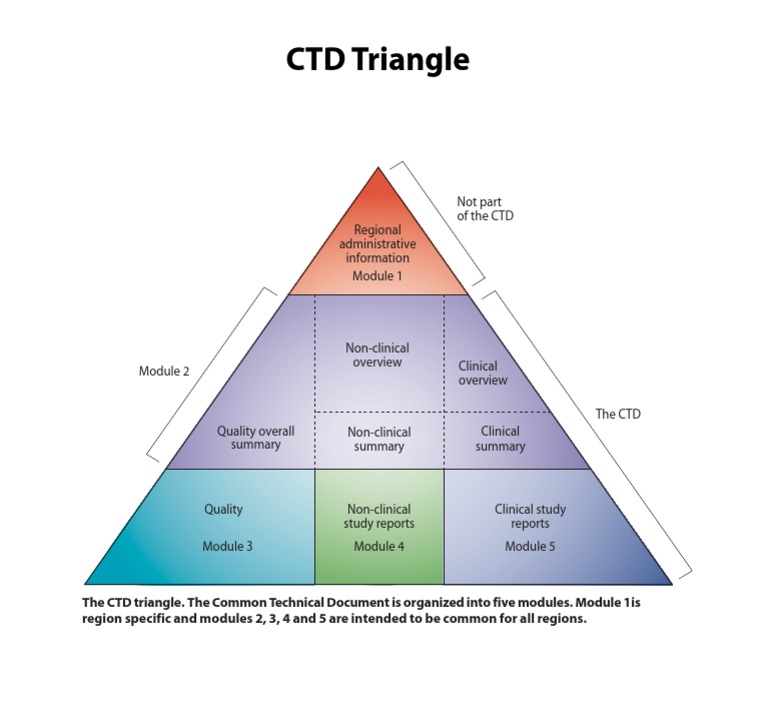 CTD Triangle | PDF