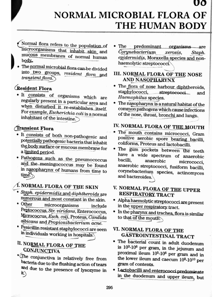 Normal Flora of Human Body | PDF
