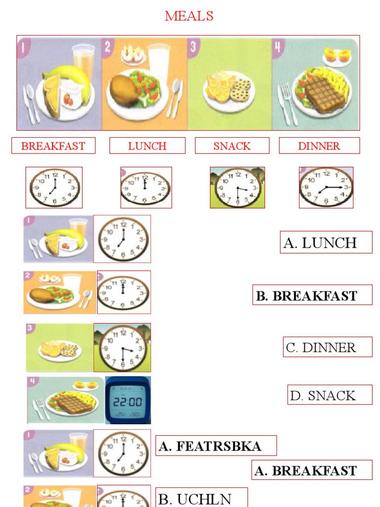 Meals: Breakfast Lunch Snack Dinner | PDF