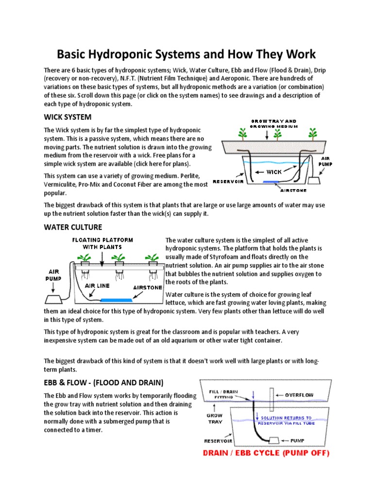 Basic Hydroponic Systems | PDF | Hydroponics | Agriculture