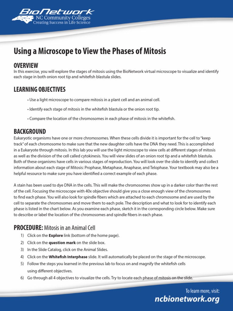 EFM Microscope For Mitosis | PDF | Mitosis | Cell Cycle