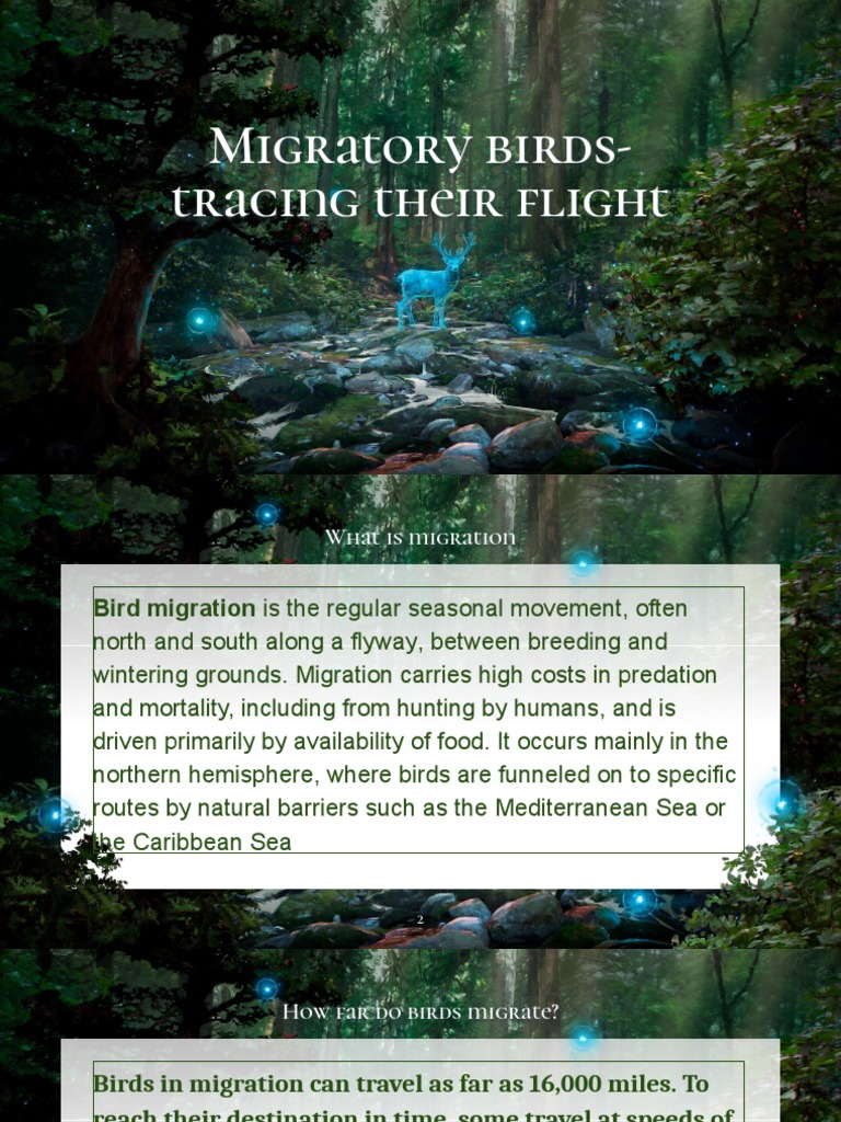 Migratory Birds-Tracing Their Journey (Group-4, Team Presentation in ...