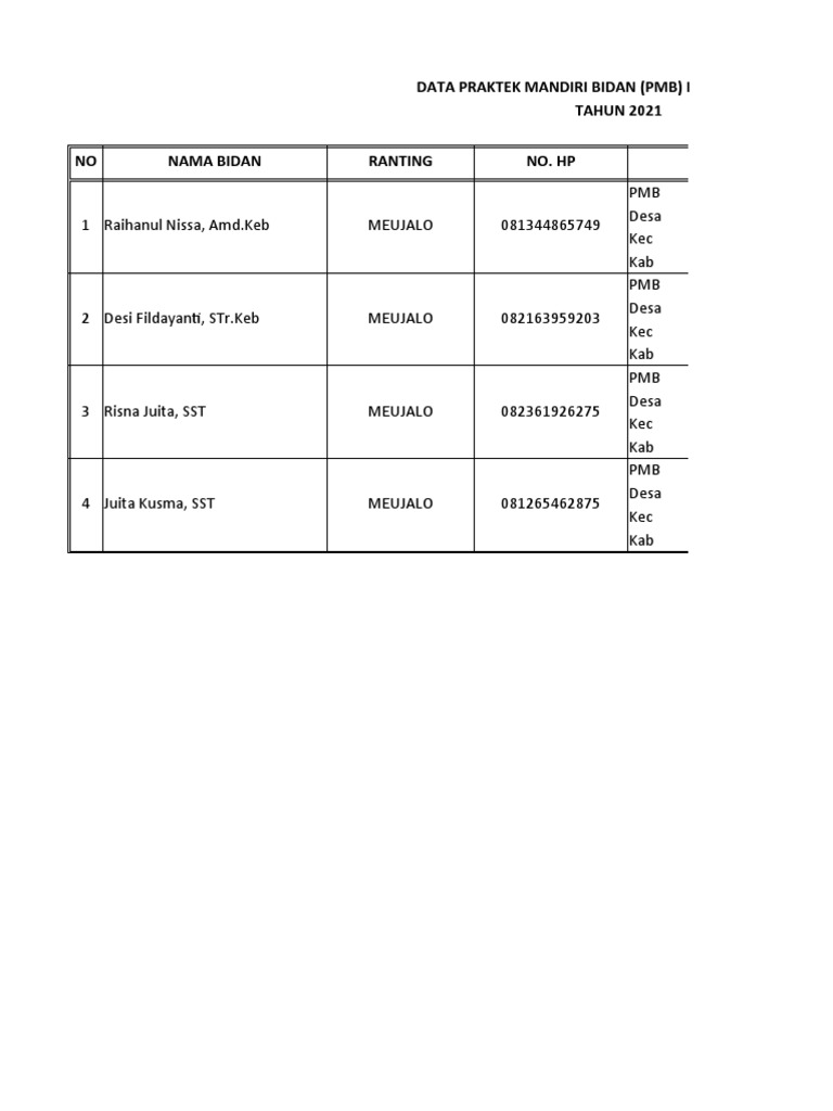 Data Praktek Mandiri Bidan (PMB) Ranting Meujalo | PDF