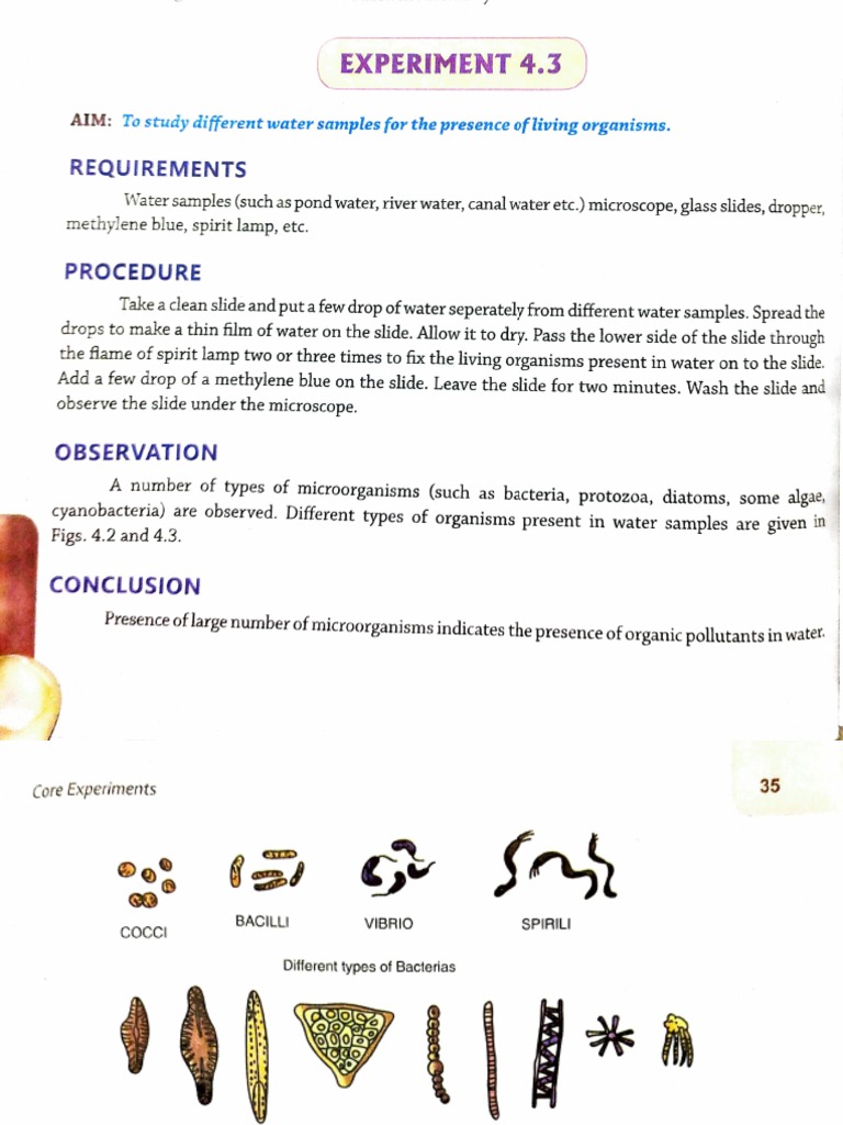Exl Sample | PDF | Water Pollution | Water