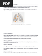 Acapella Protocol | PDF | Exhalation | Breathing