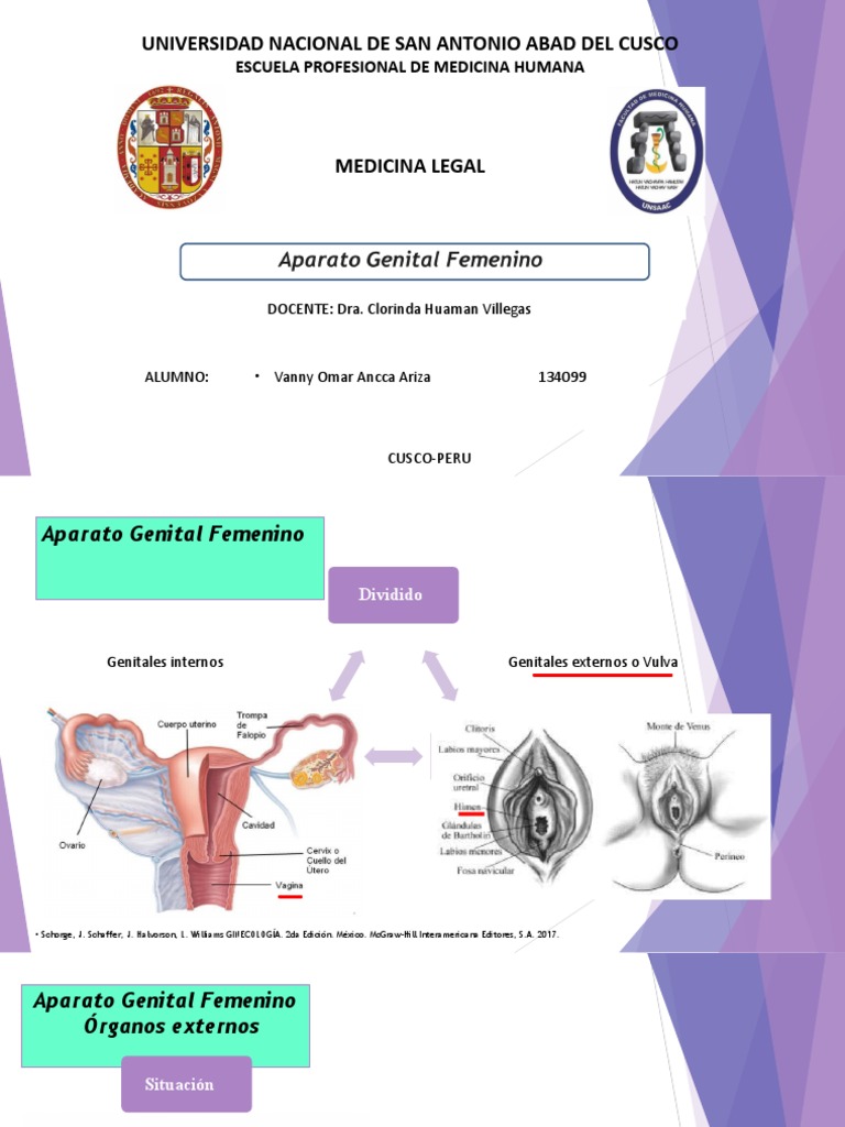 Anatomía Aparato Genital Femenino-Vagina | PDF | Vagina | Sistema ...