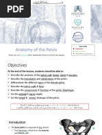 6 - Pelvic Rocking Exercises | PDF | Pelvis | Abdomen