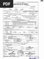 Birth Certificate | PDF | Multiple Births | Social Institutions