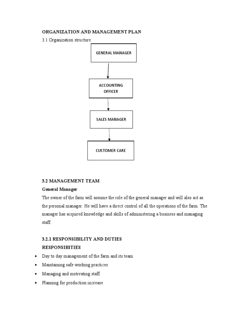 Organization and Management Plan: General Manager | PDF | Sales ...
