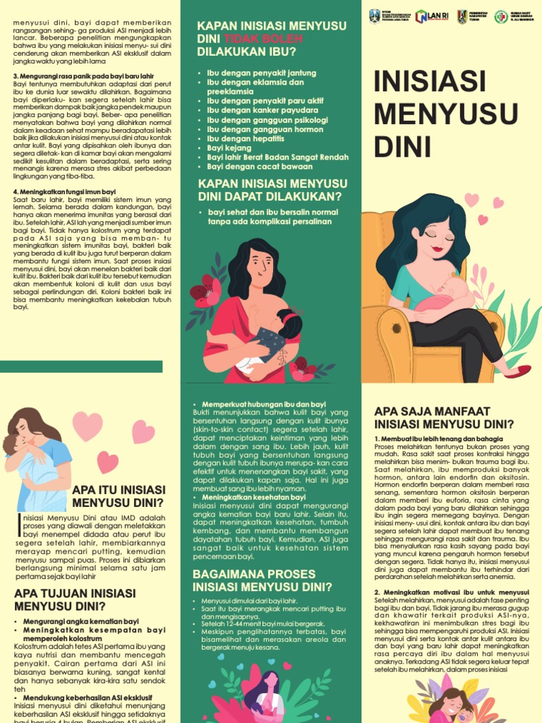 Leaflet Inisiasi Menyusi Dini | PDF