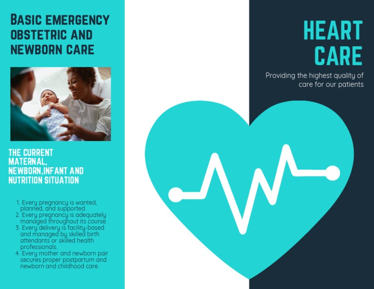 Basic Emergency Obstetric and Newborn Care | PDF