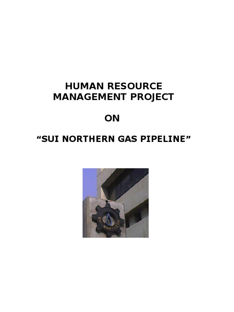 Human Resource Management Project Pdf Employment Recruitment